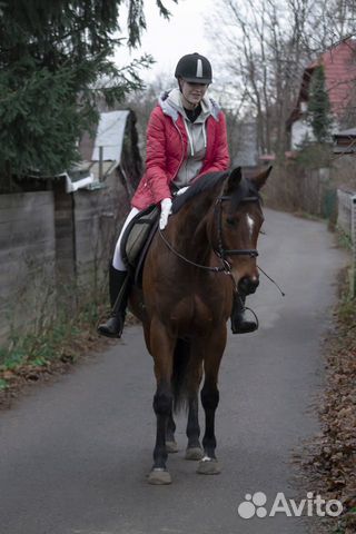 Продаётся лошадь