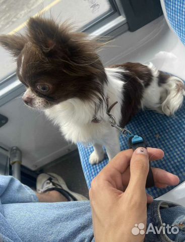 Мальчик Кузя