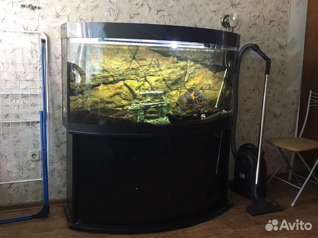 Аквариум 450 литров