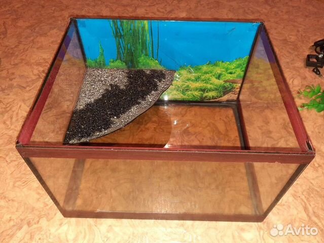 Аквариум