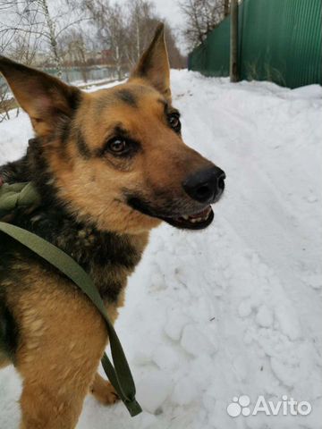 Я хочу быть с тобой и только с тобой