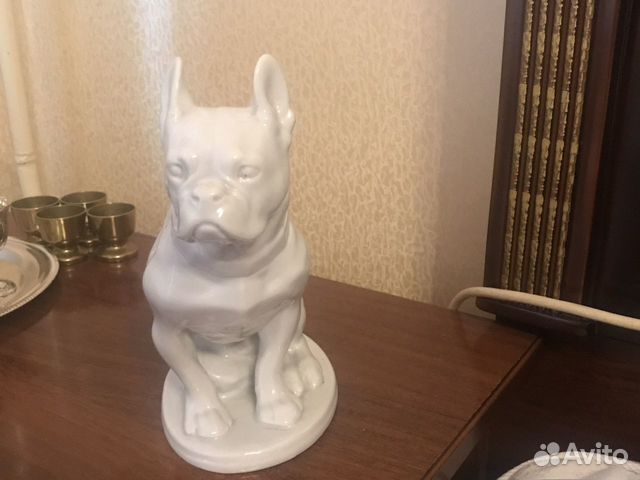 Собака французский бульдог