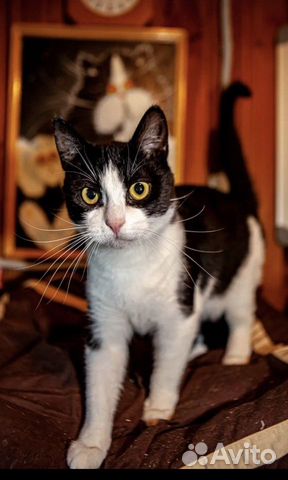 Гошик 10 мес