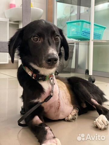 Особенный малыш Егорка ищет родителей