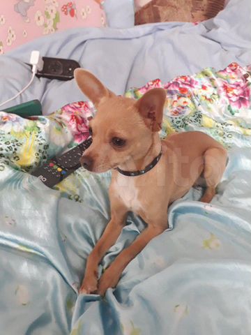 Парень ищет подругу