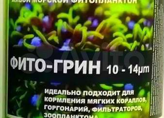 Морской фитопланктон